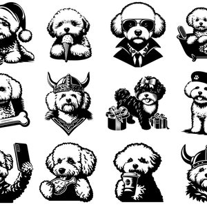 Bichon Frise SVG Bichon Fluffy Cute Royal SVG Bichon Circus Svg Puffy ...