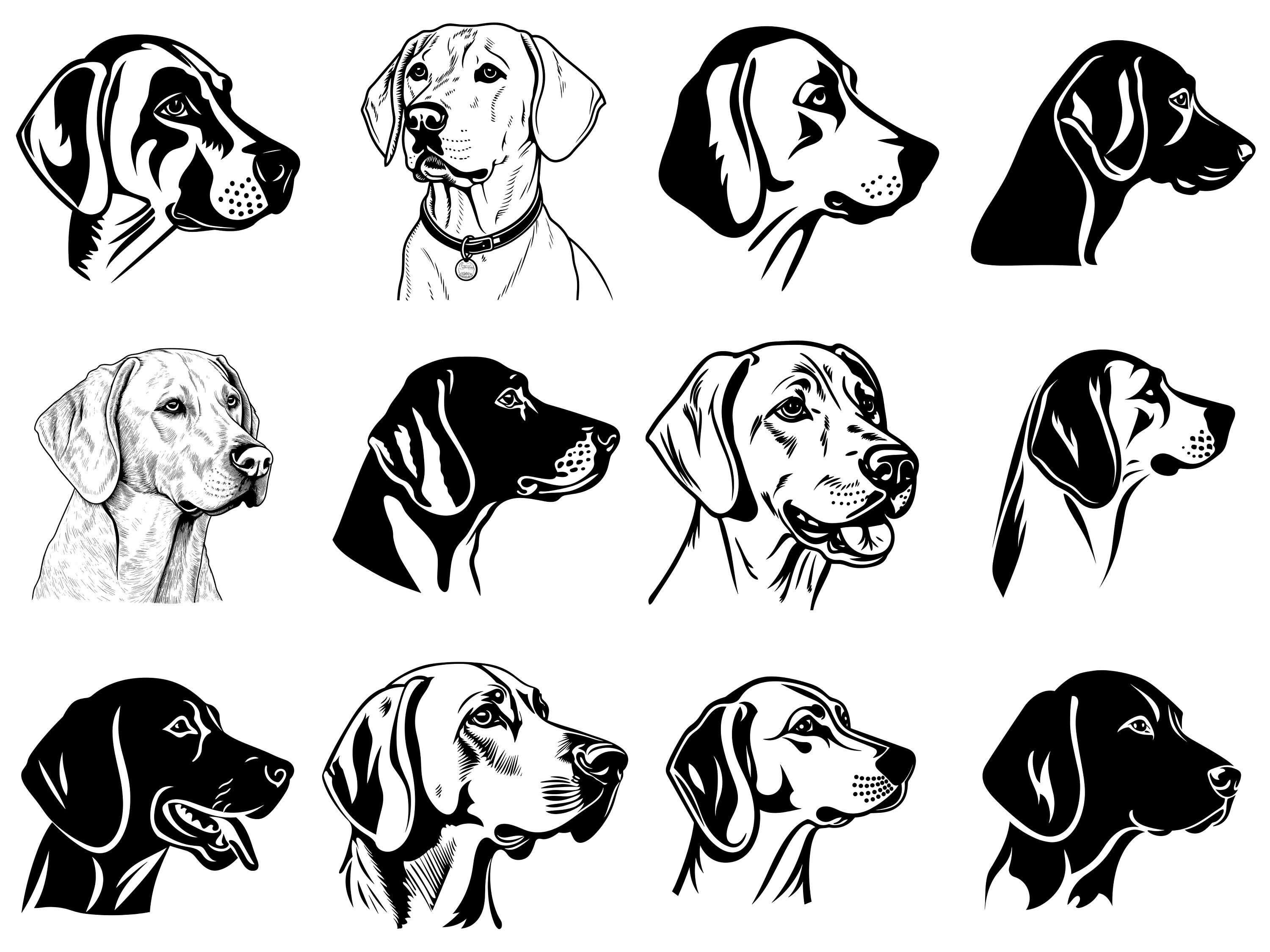 Labrador SVG Funny Labrador Retriever Lover Gifts Air Bud Marley and Me ...