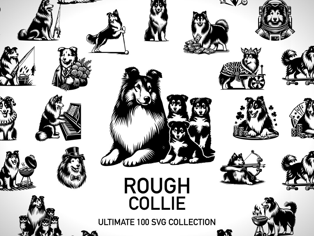 Rough Collie SVG Files for Cricut SVG Rough Collie Lover Gifts Rough ...