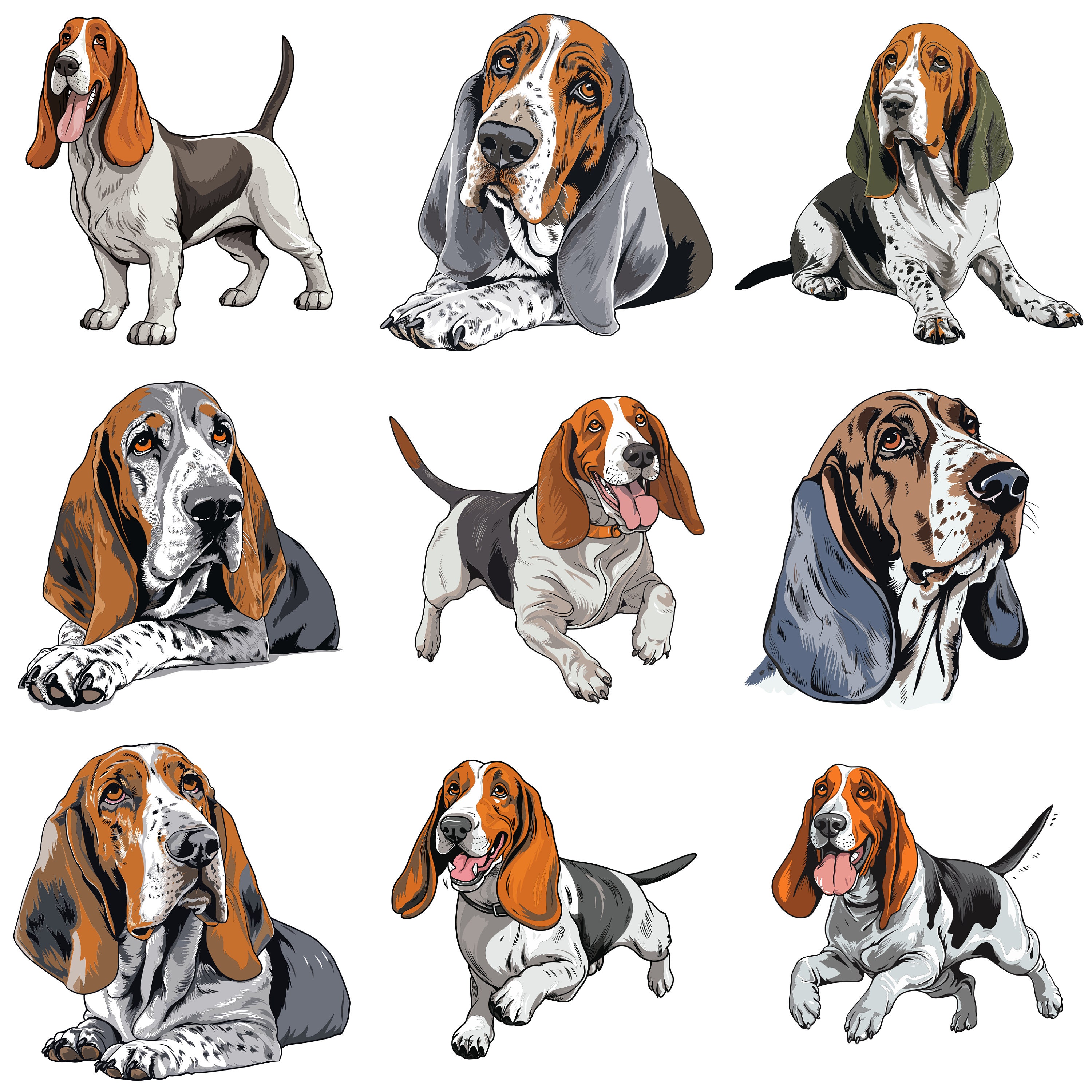 Basset Hound Svg Digital Art Svg Bundle Collection Craft and Digital ...