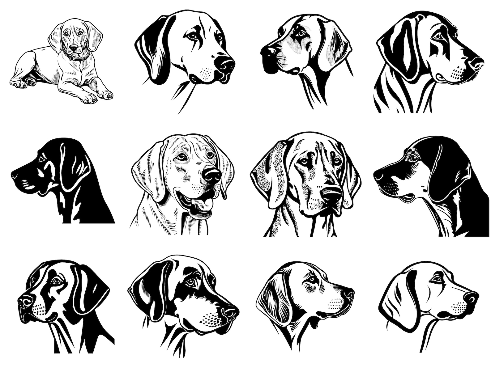 Labrador SVG Funny Labrador Retriever Lover Gifts Air Bud Marley and Me ...