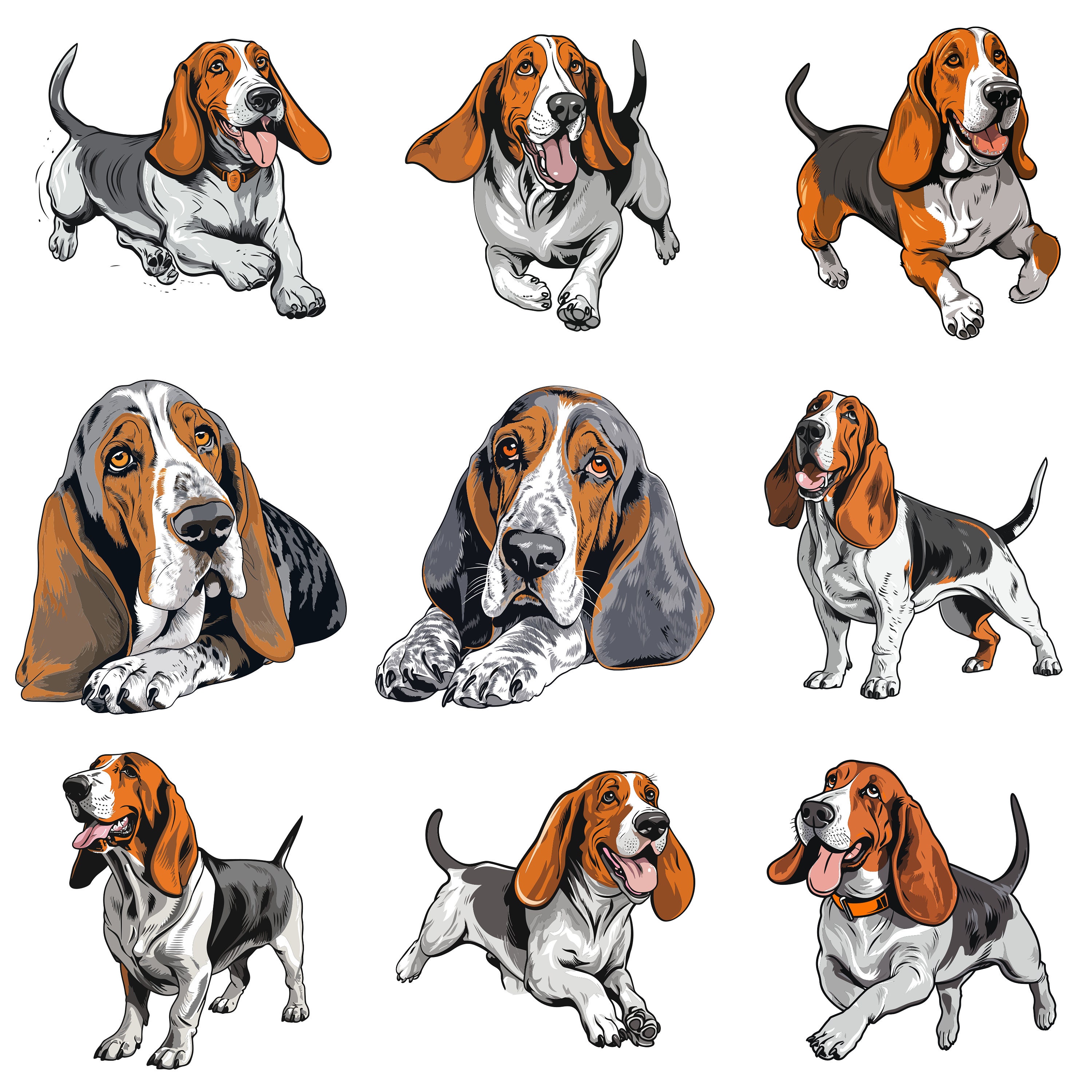 Basset Hound Svg Digital Art Svg Bundle Collection Craft and Digital ...