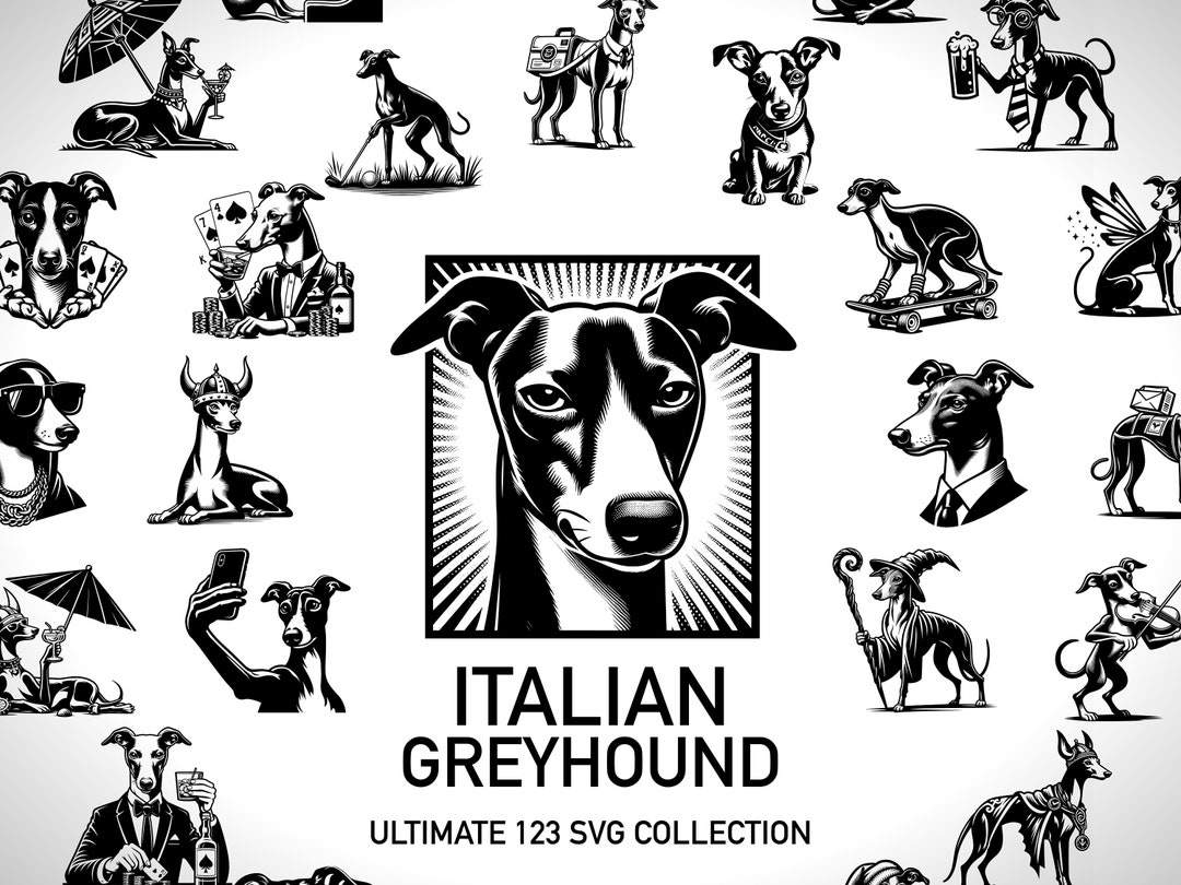 Italian Greyhound SVG Collection 123 Cut Files Piccolo Levriero ...