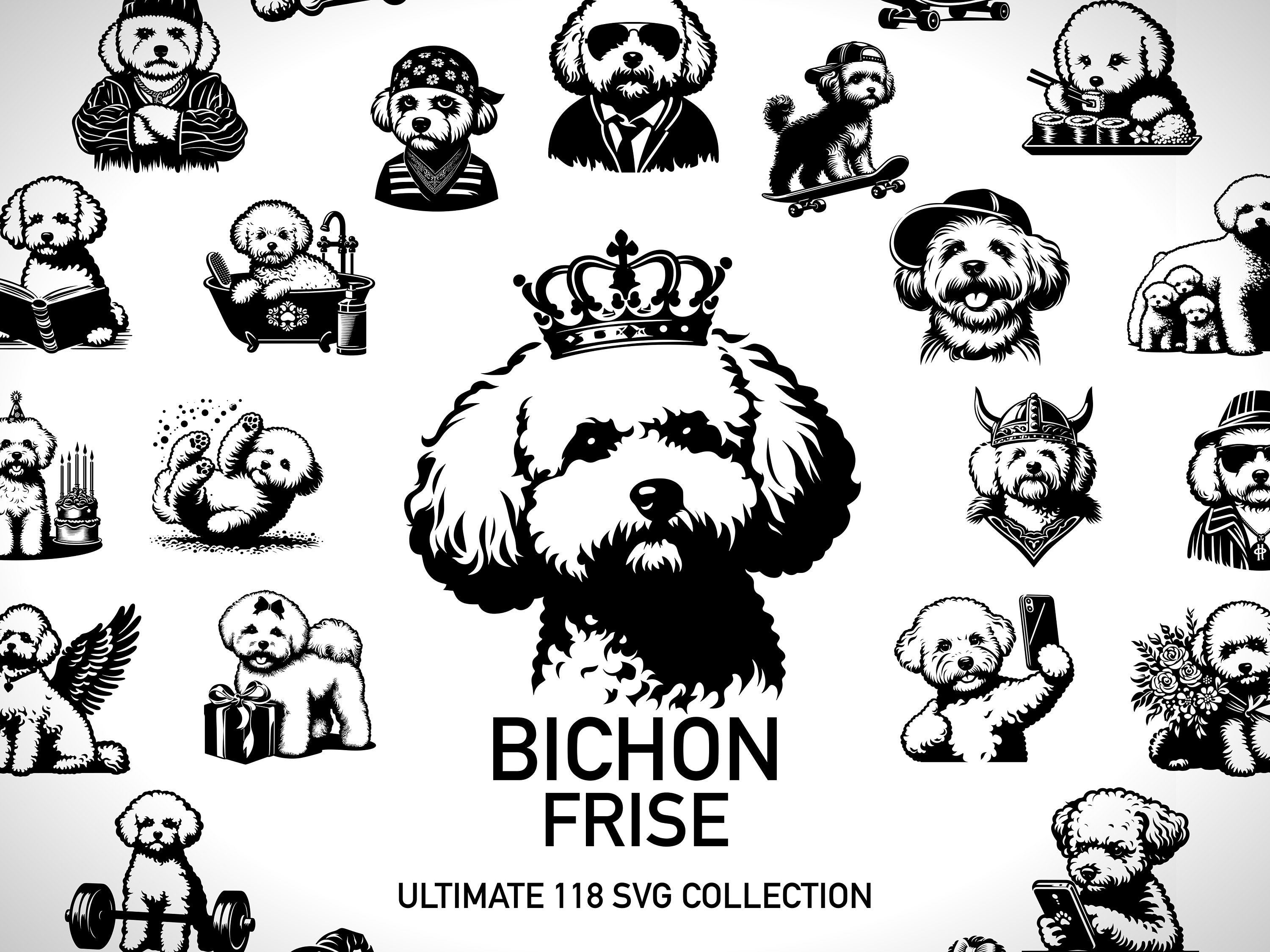 Bichon Frise SVG Bichon Fluffy Cute Royal SVG Bichon Circus Svg Puffy ...