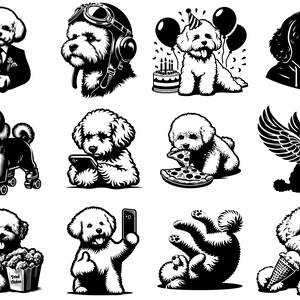 Bichon Frise SVG Bichon Fluffy Cute Royal SVG Bichon Circus Svg Puffy ...