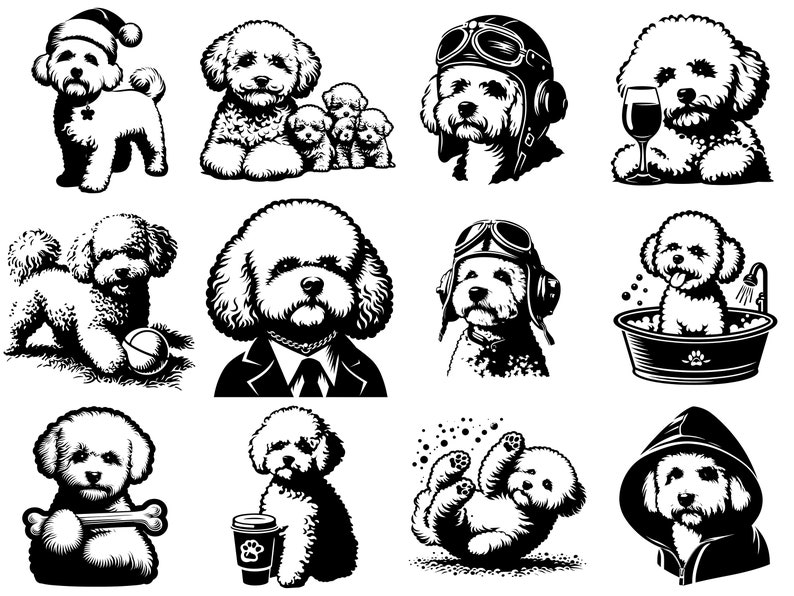 Bichon Frise SVG Bichon Fluffy Cute Royal SVG Bichon Circus Svg Puffy ...