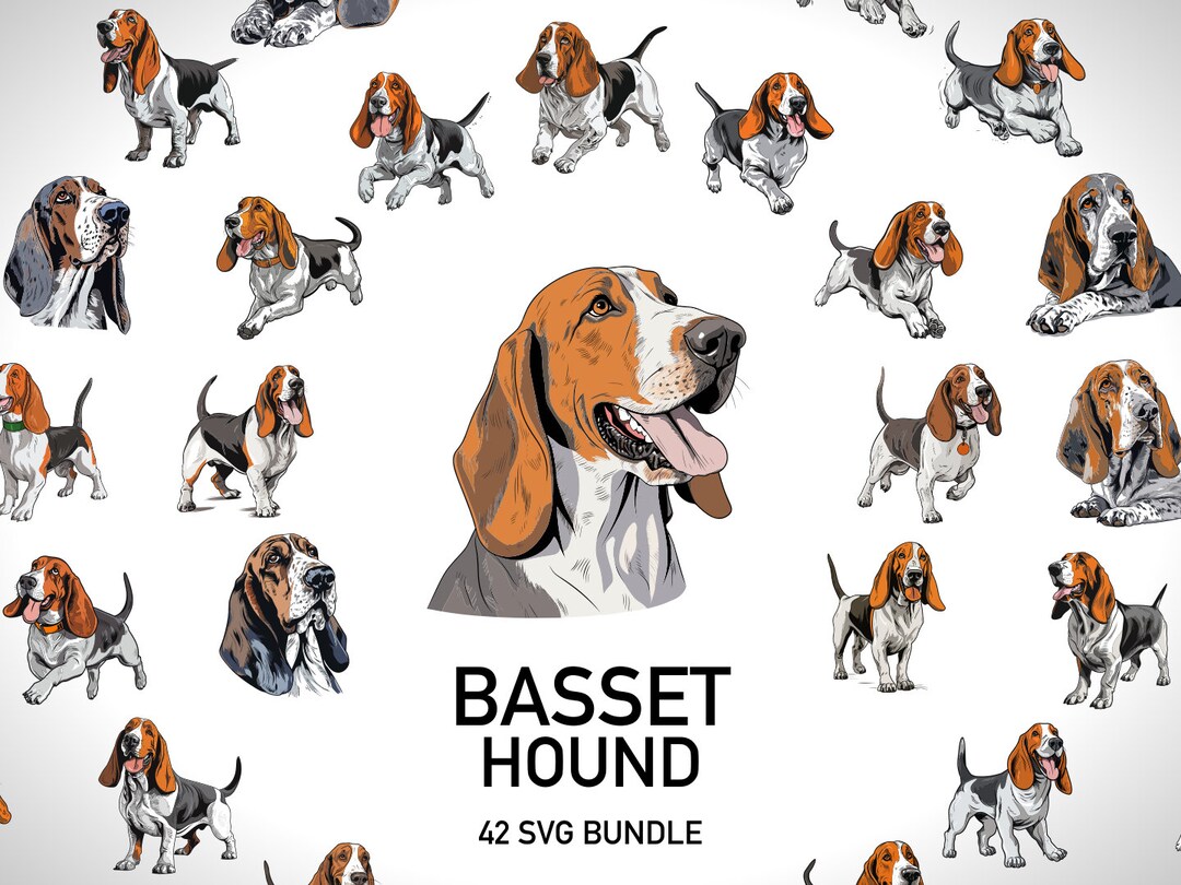Basset Hound Svg Digital Art Svg Bundle Collection Craft and Digital ...