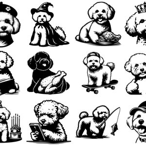 Bichon Frise SVG Bichon Fluffy Cute Royal SVG Bichon Circus Svg Puffy ...