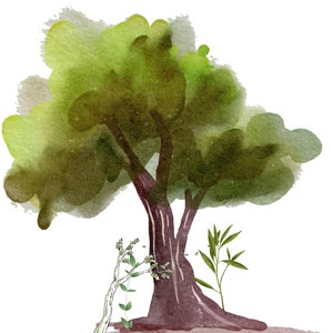 Digital Watercolor Trees Clipart Download - Etsy