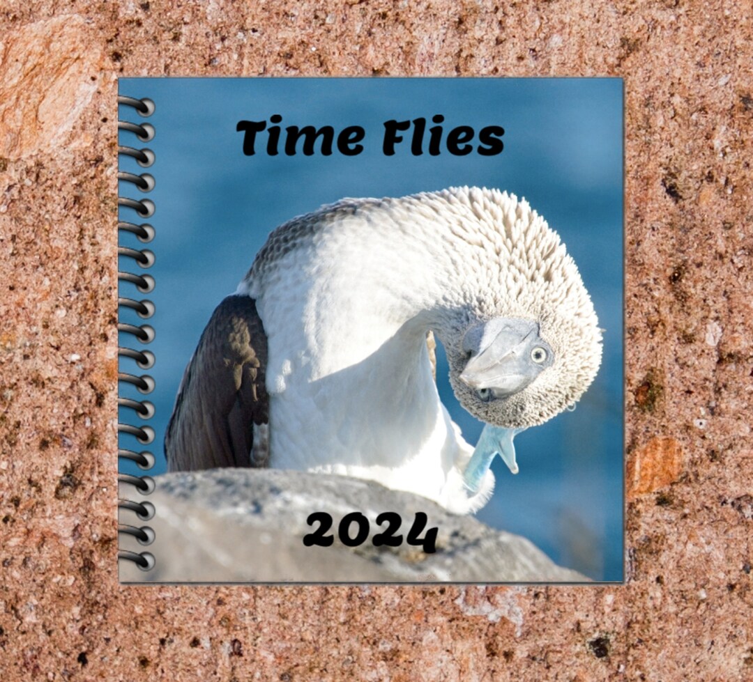 2024 Calendar Time Flies Birds - Etsy