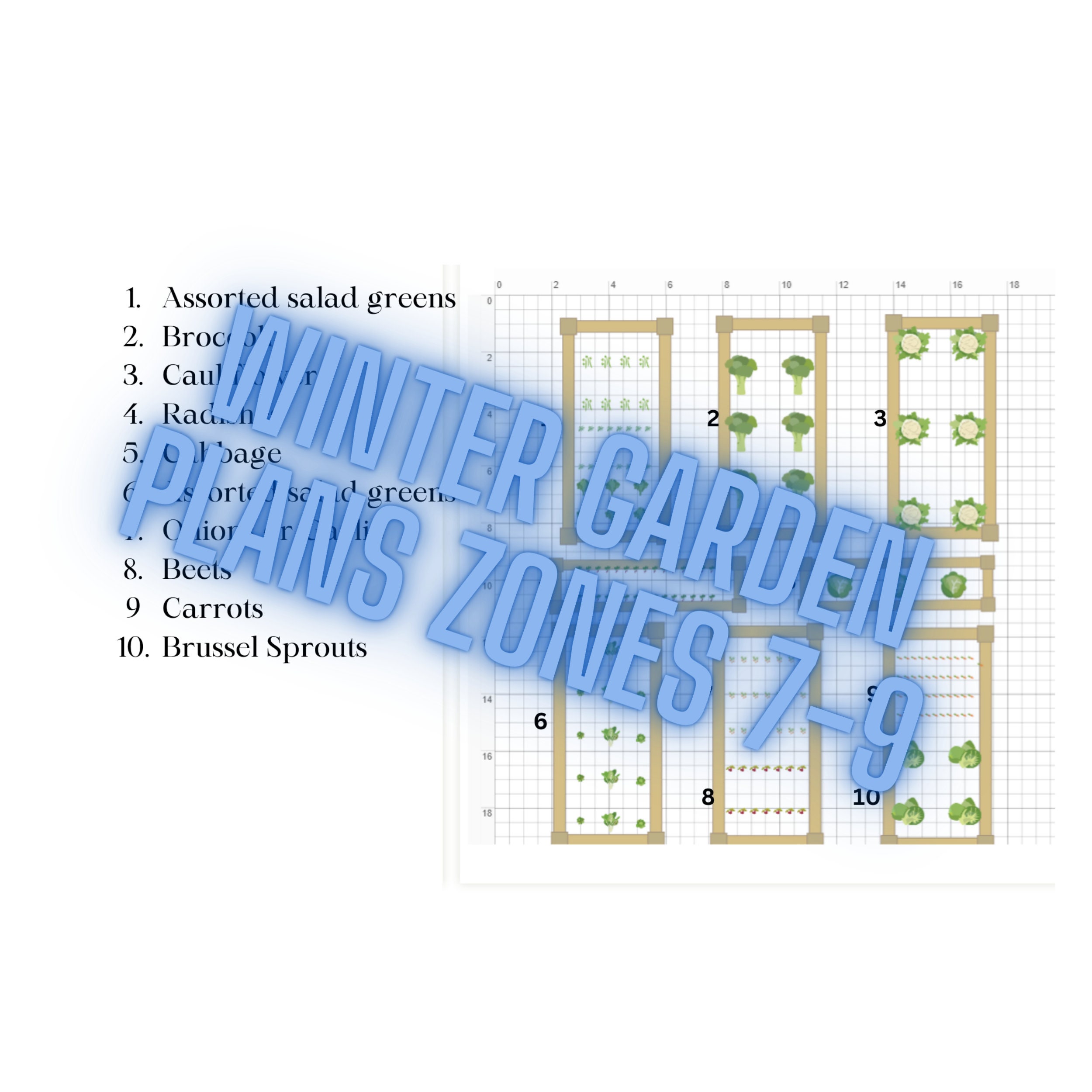 Custom Winter Garden Plan Zones 7-9 400sq Ft - Etsy