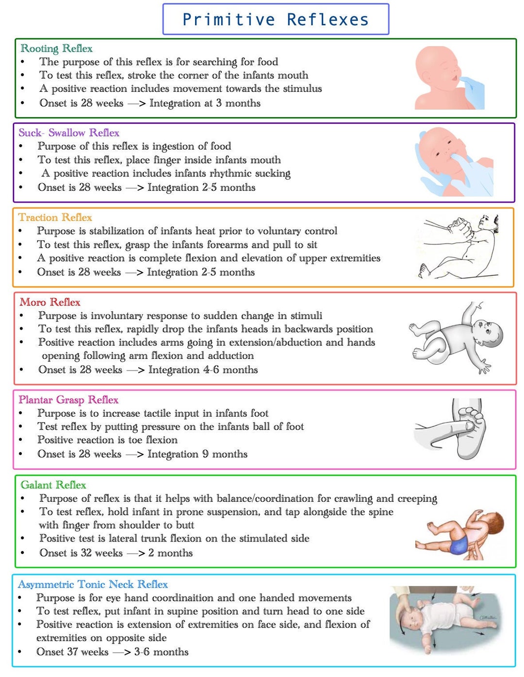 Pediatric NBCOT Occupational Therapy Exam Prep - Etsy