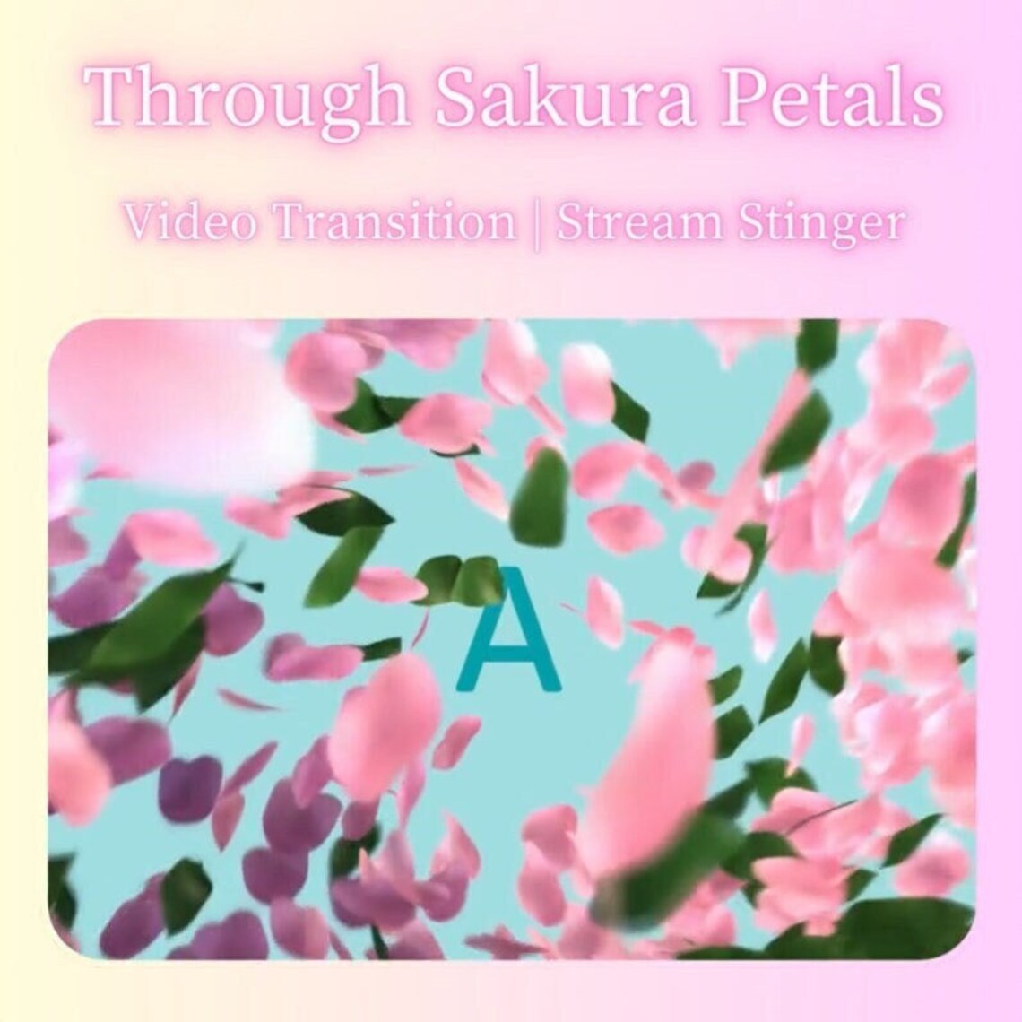 Pink Cherry Blossom 3D Transition | Sakura Blossom Stream Stinger ...