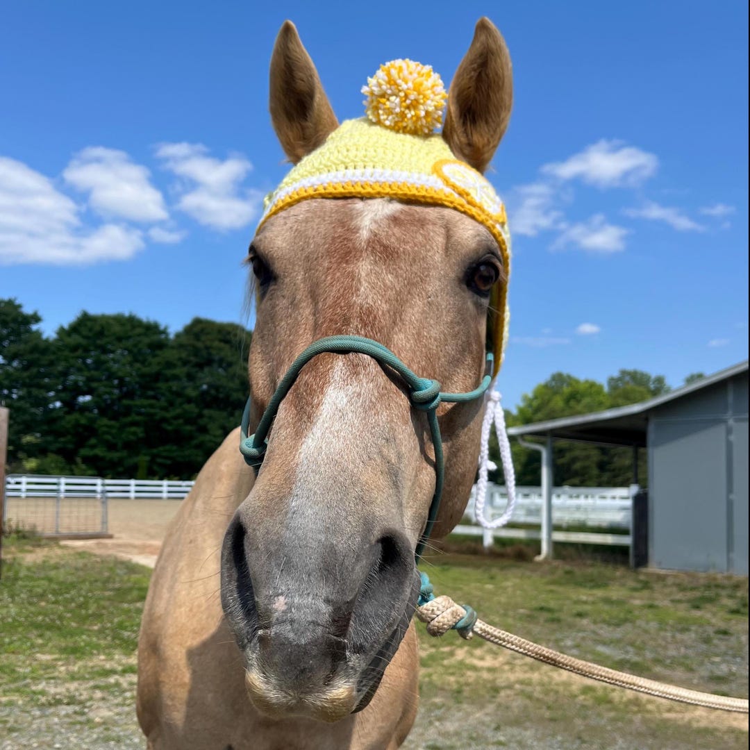 June Hat of the Month - Lemon Squeezy Hat - Etsy