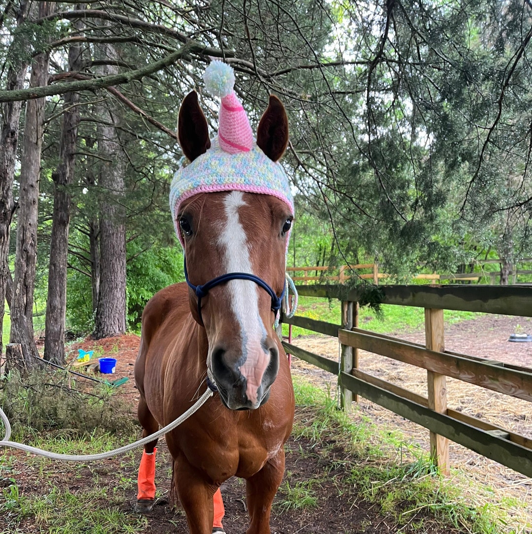 Horse Birthday Hat - Etsy