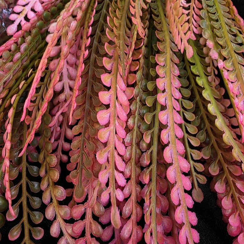 Yellow Bead Grass - Etsy