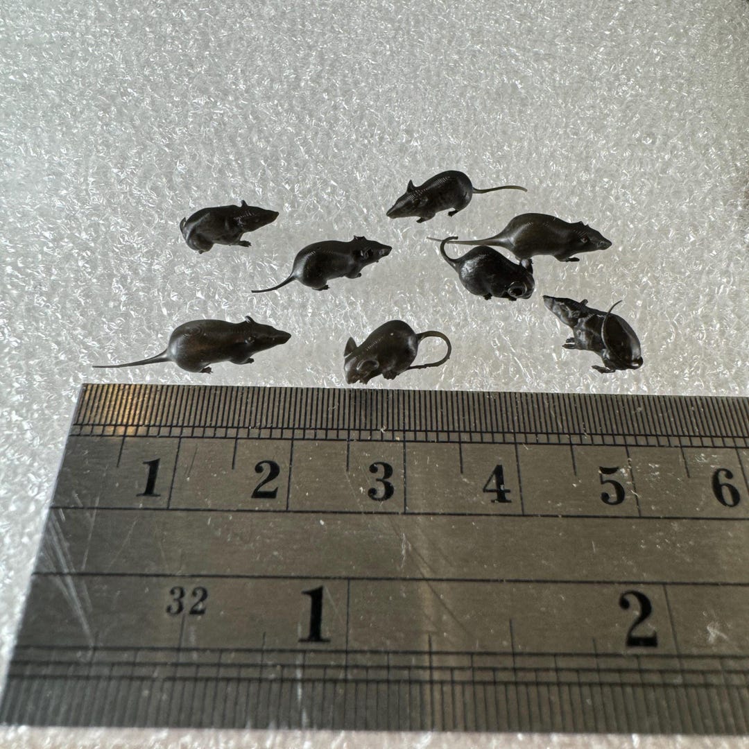 1:12 Scale Miniature Rats - for Horror Diorama, Dollhouse, Arts and ...