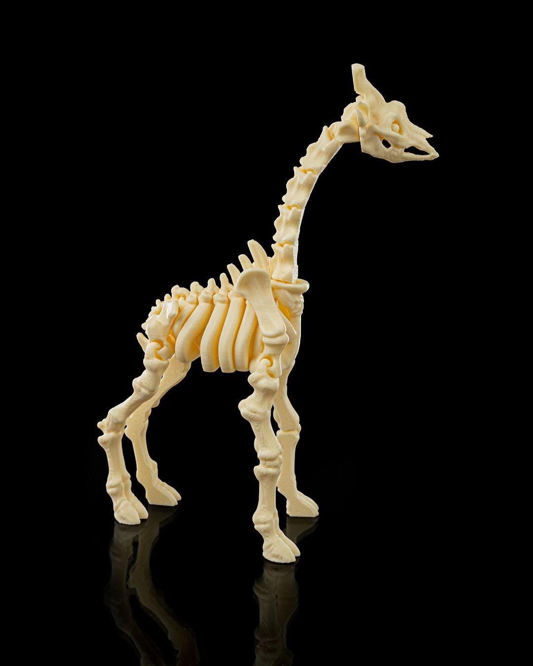 Articulated 3D Printed Skeleton Giraffe - Movable Anatomical Giraffe ...