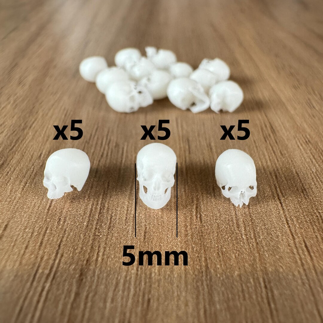 Realistic Looking 1:48 Scale Miniature Human Skull - for Horror Diorama ...