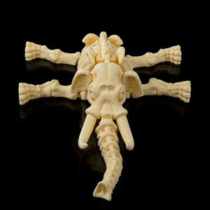 Articulated 3D Printed Skeleton Elephant - Movable Anatomical Elephant ...