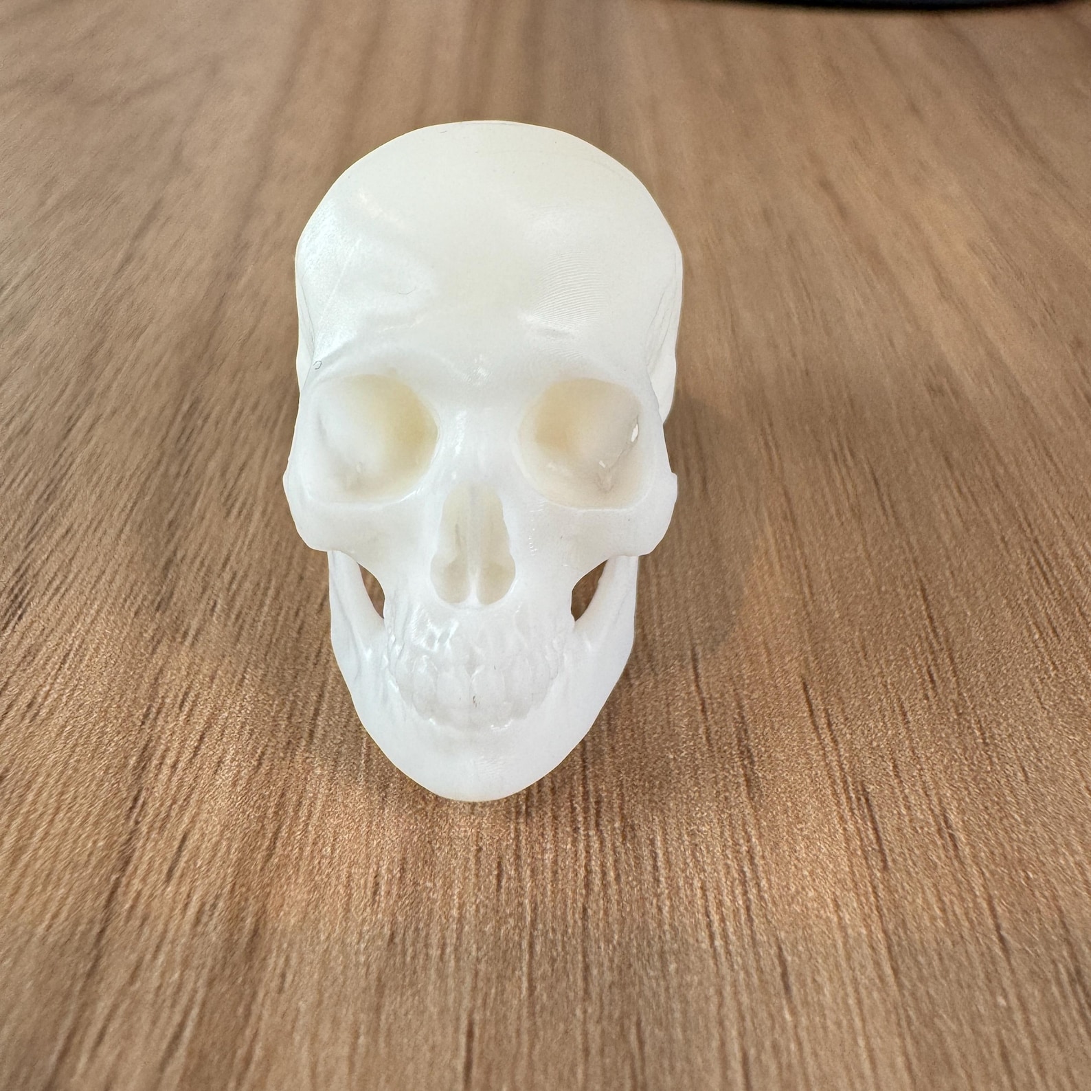 Realistic Looking 1:6 Scale Miniature Human Skull - for Horror Diorama ...