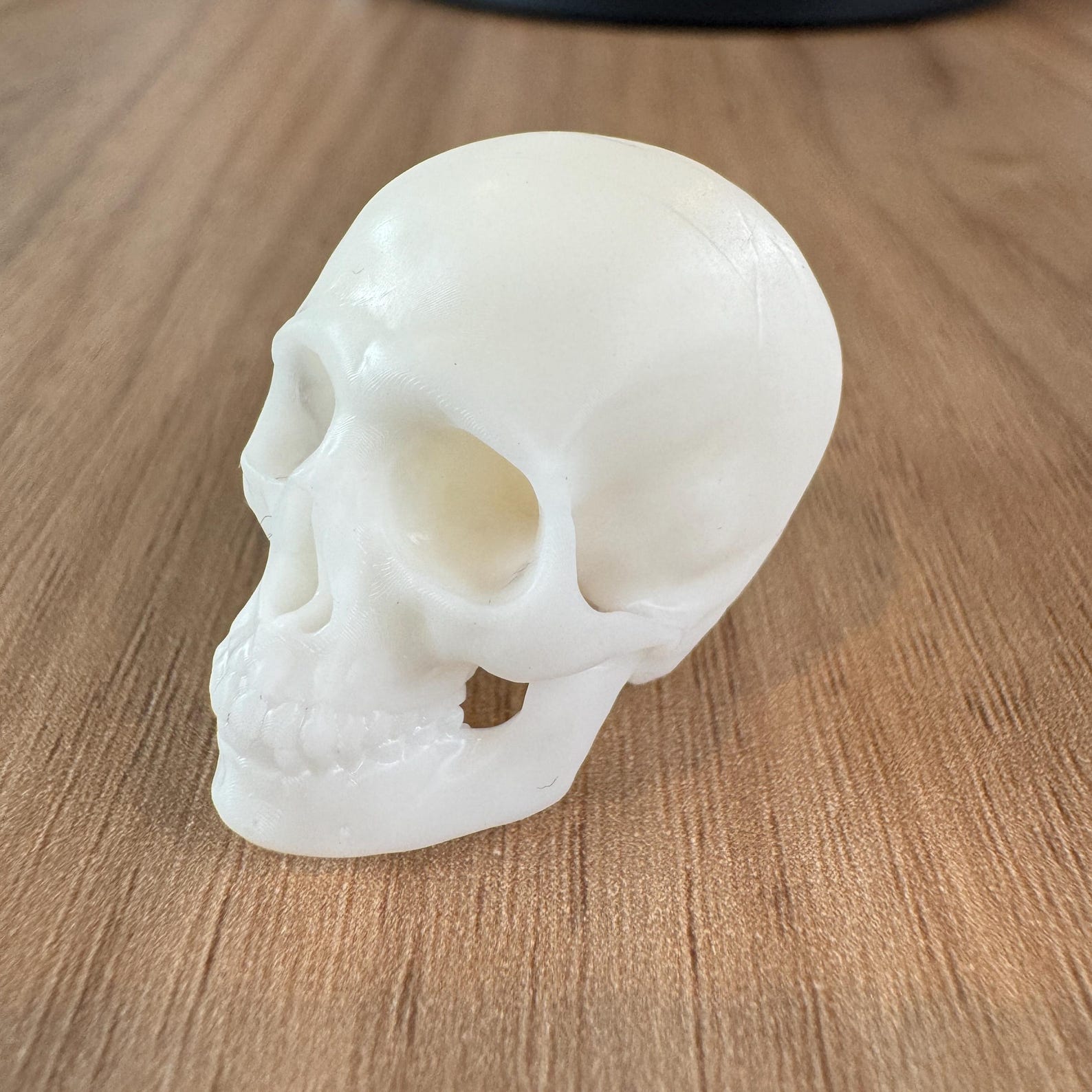 Realistic Looking 1:6 Scale Miniature Human Skull - for Horror Diorama ...