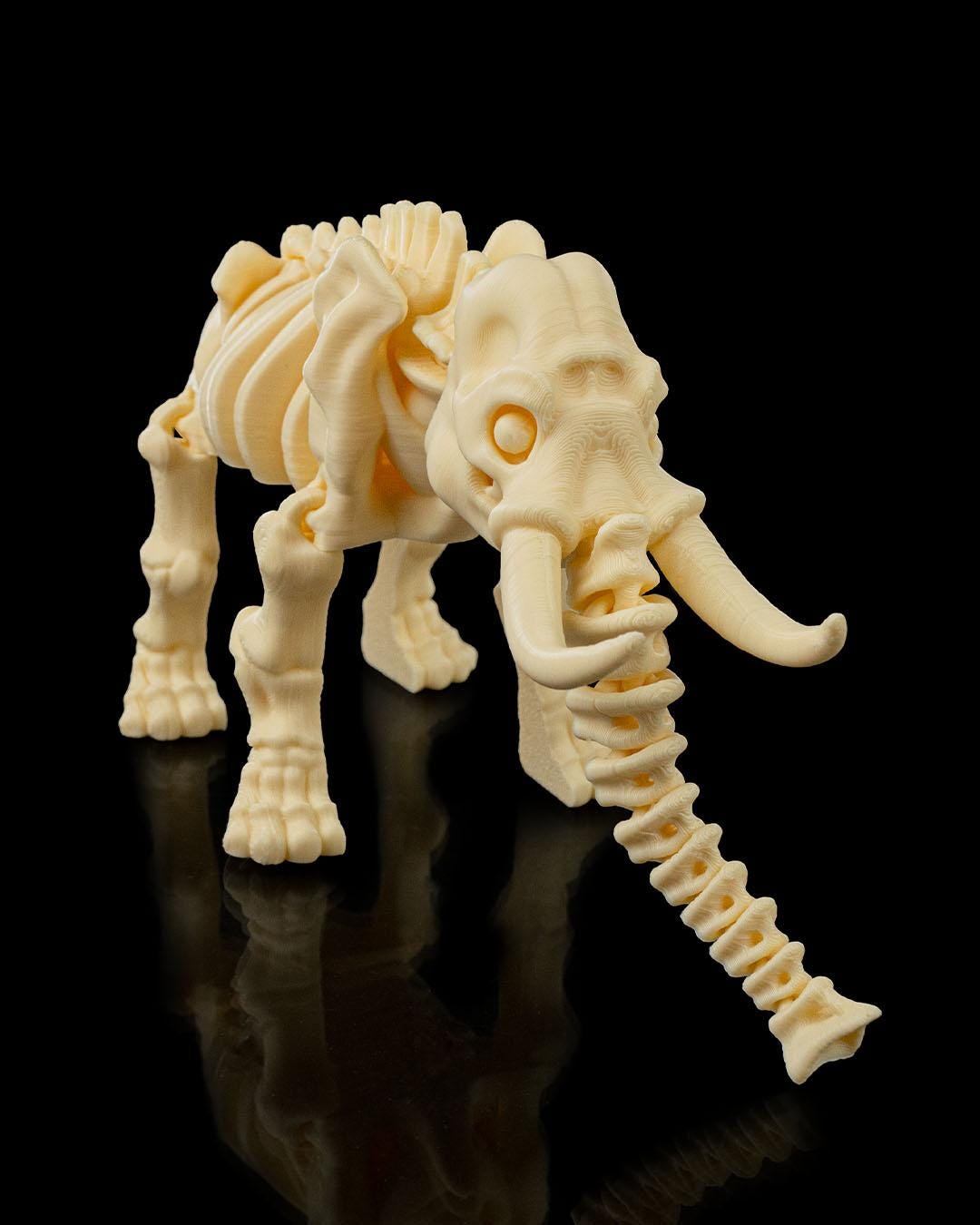 Articulated 3D Printed Skeleton Elephant - Movable Anatomical Elephant ...