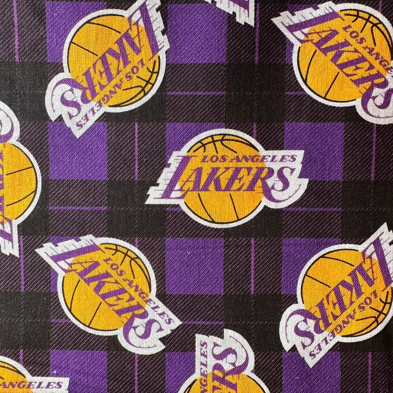 Lebron James Pillow - Etsy