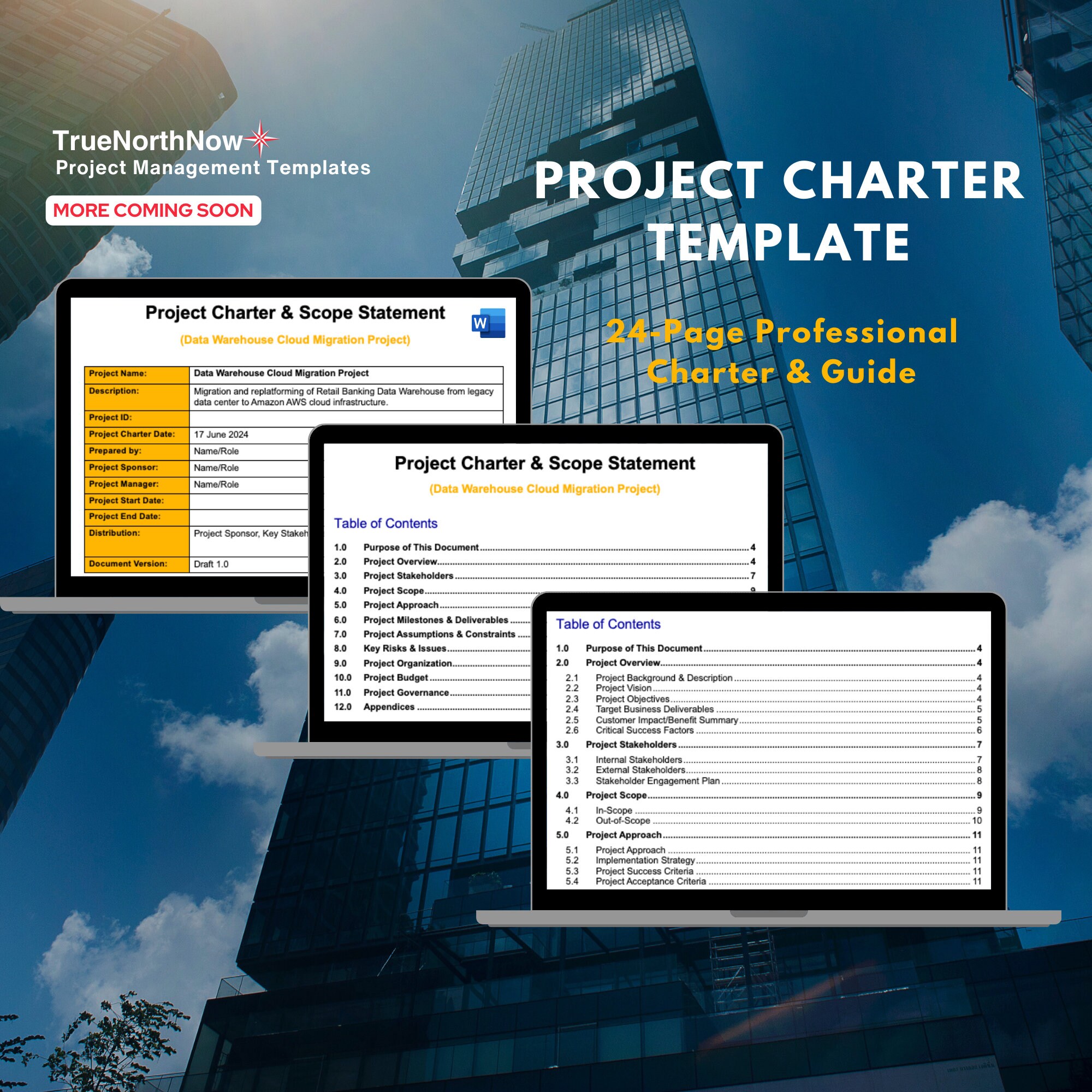 Project Charter, Scope Statement, Governance - Etsy