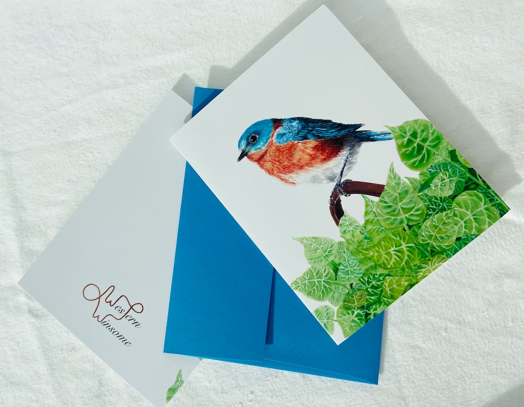 Bluebird Greeting Cards (set of 8) - Etsy