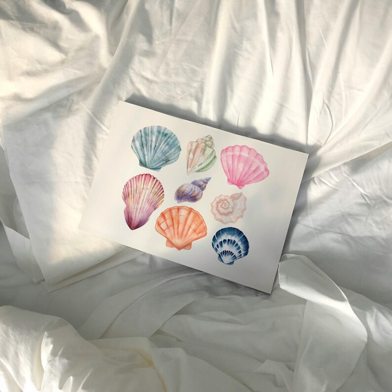 Seashells Print, Coastal Wall Art, Trendy Beach House Decor, Cute ...