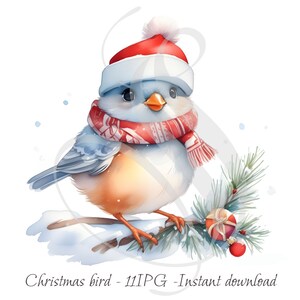Whimsical Holiday Bird Clipart Pack Instant Digital Download Set of 11 ...