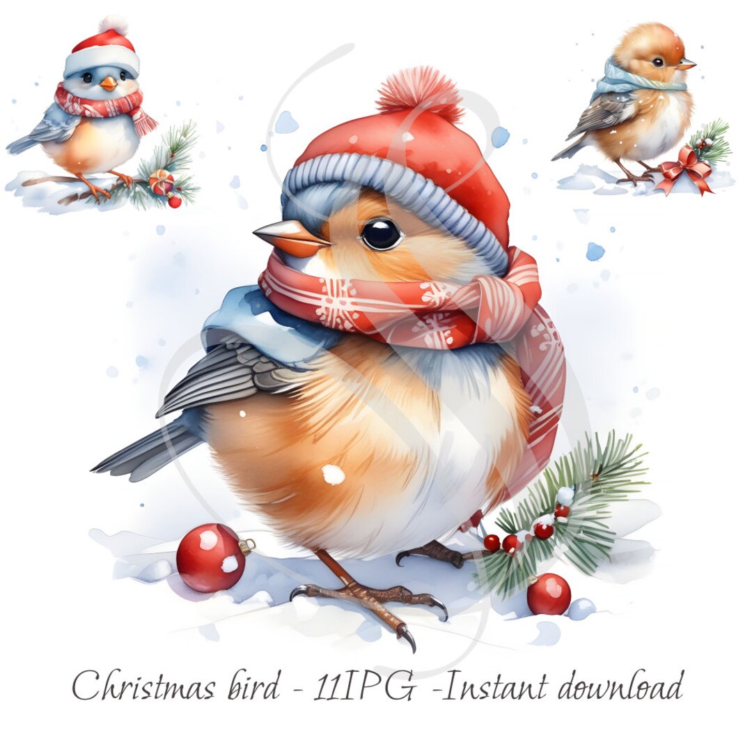 Whimsical Holiday Bird Clipart Pack - Instant Digital Download - Set of ...