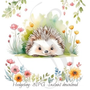 Colorful Spring Hedgehog Clipart Collection - 8 JPG - Instant Digital ...