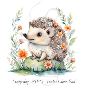 Colorful Spring Hedgehog Clipart Collection - 8 JPG - Instant Digital ...