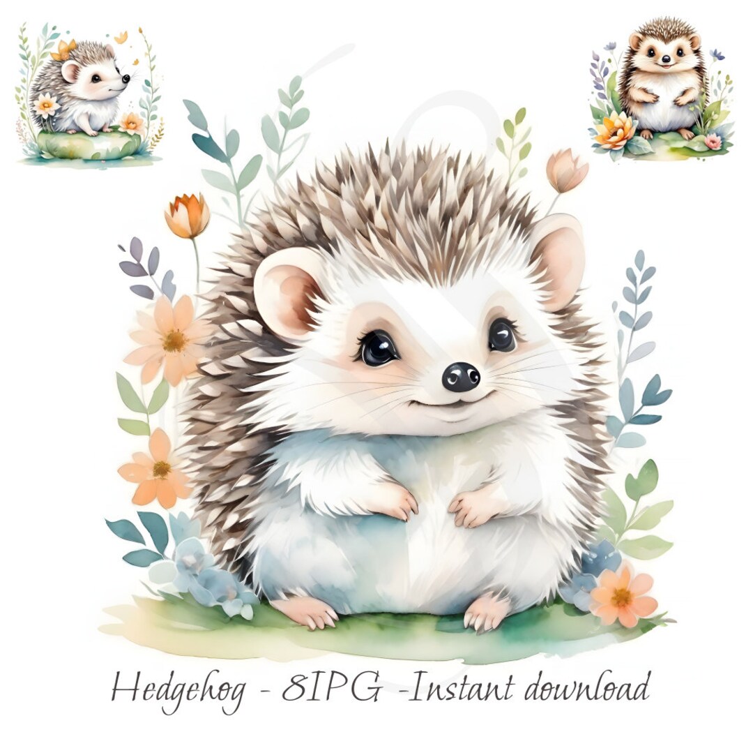 Colorful Spring Hedgehog Clipart Collection - 8 JPG - Instant Digital ...
