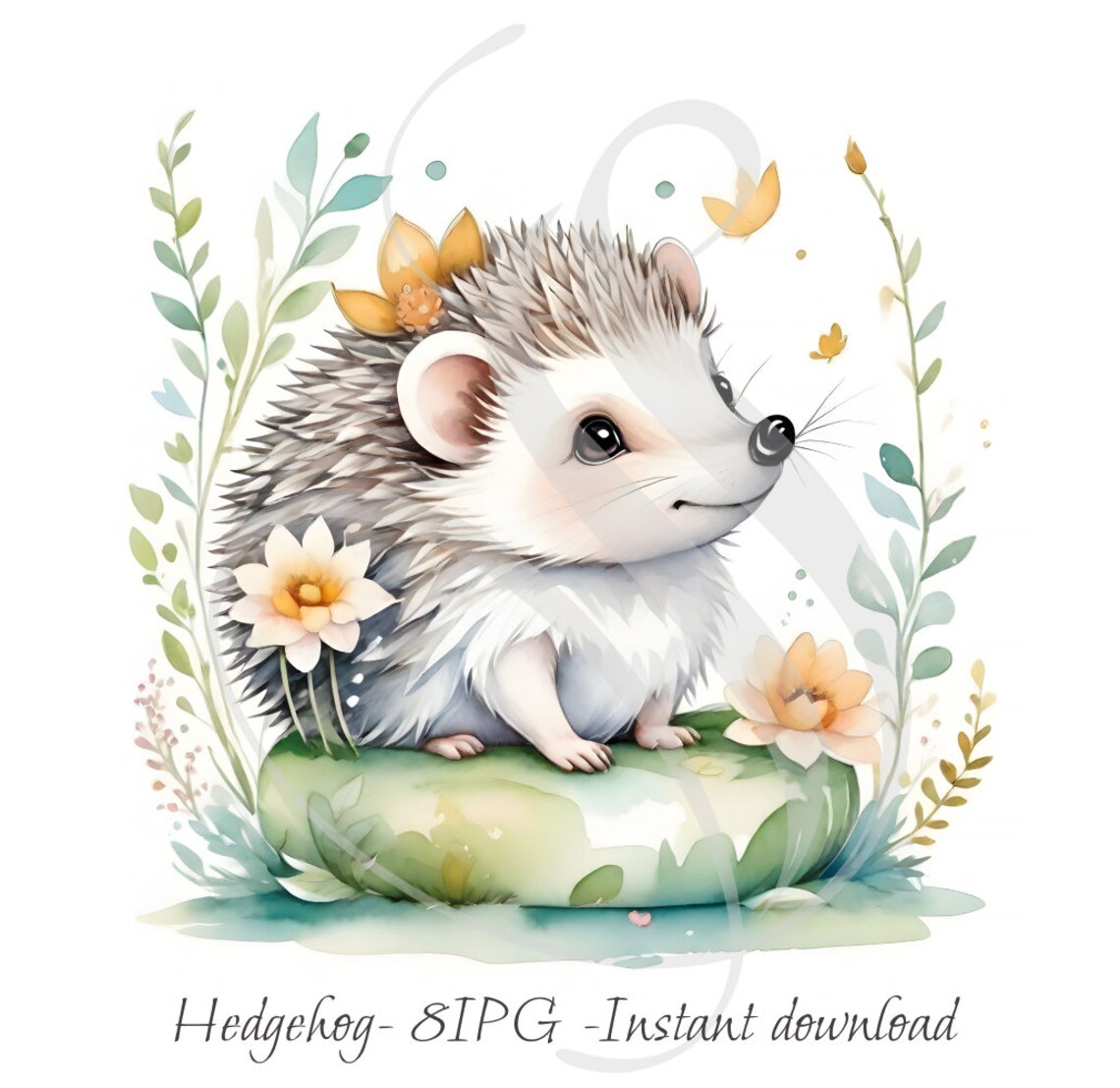 Colorful Spring Hedgehog Clipart Collection - 8 JPG - Instant Digital ...