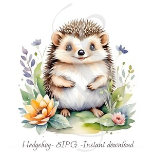 Colorful Spring Hedgehog Clipart Collection - 8 JPG - Instant Digital ...