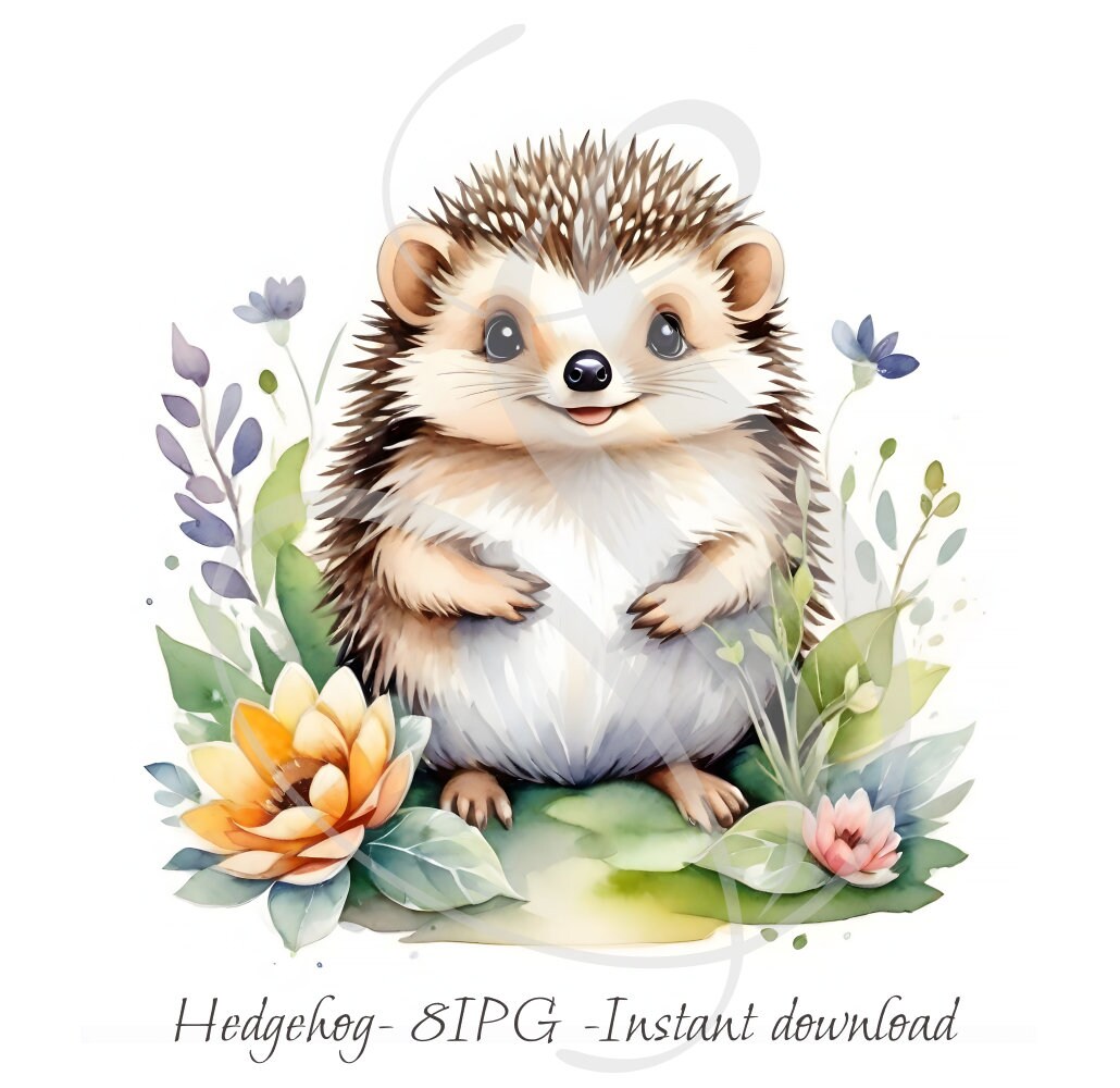 Colorful Spring Hedgehog Clipart Collection 8 JPG Instant Digital ...