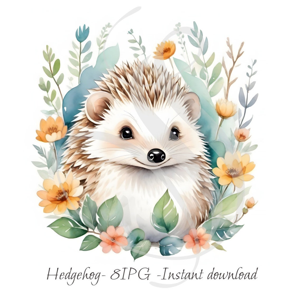 Colorful Spring Hedgehog Clipart Collection 8 JPG Instant Digital ...