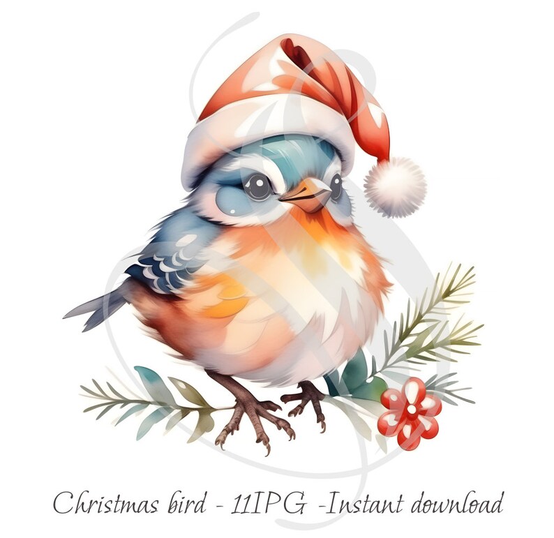 Whimsical Holiday Bird Clipart Pack - Instant Digital Download - Set of ...