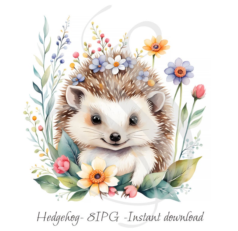 Colorful Spring Hedgehog Clipart Collection - 8 JPG - Instant Digital ...