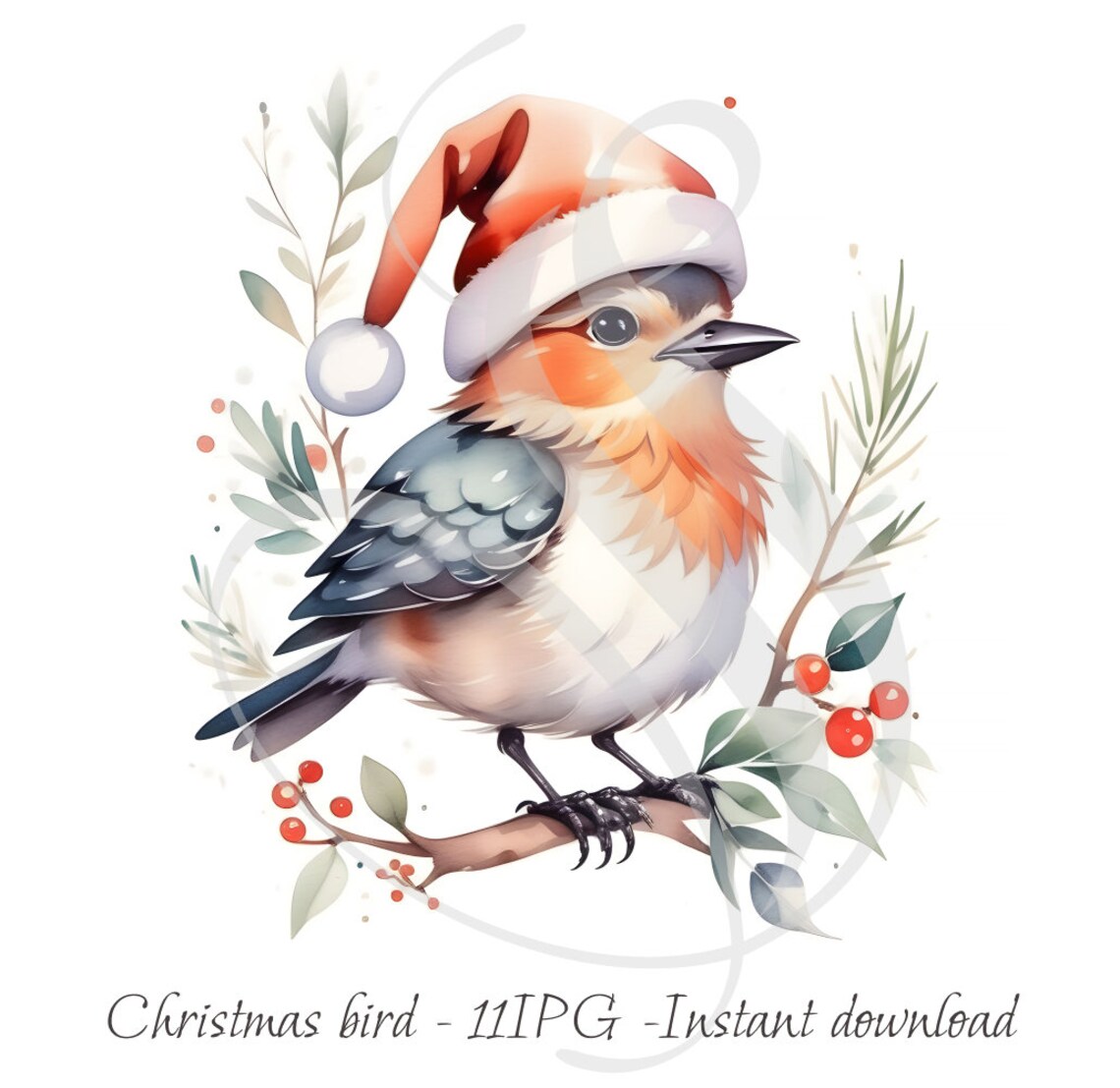 Whimsical Holiday Bird Clipart Pack Instant Digital Download Set of 11 ...