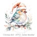 Whimsical Holiday Bird Clipart Pack Instant Digital Download Set of 11 ...