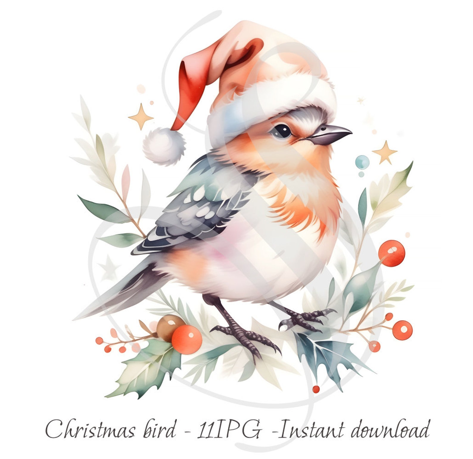 Whimsical Holiday Bird Clipart Pack Instant Digital Download Set of 11 ...