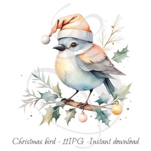 Whimsical Holiday Bird Clipart Pack Instant Digital Download Set of 11 ...
