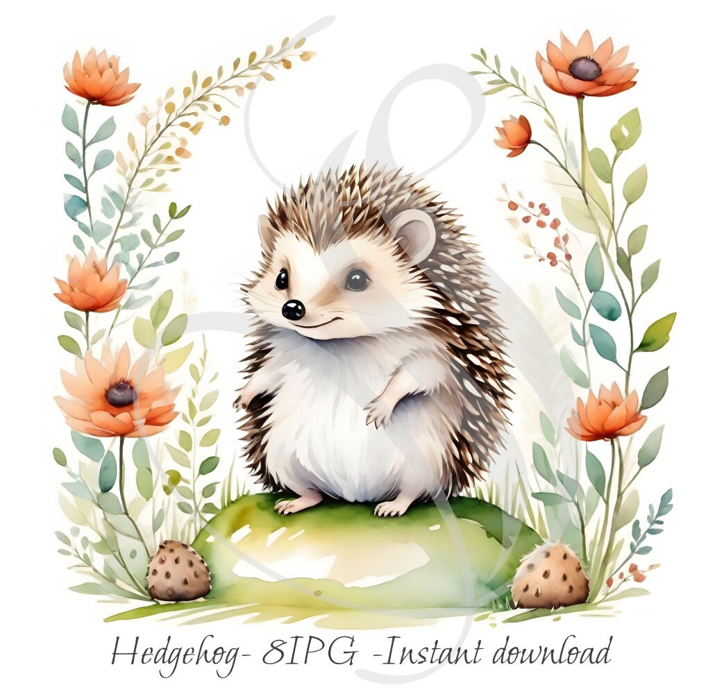 Colorful Spring Hedgehog Clipart Collection - 8 JPG - Instant Digital ...