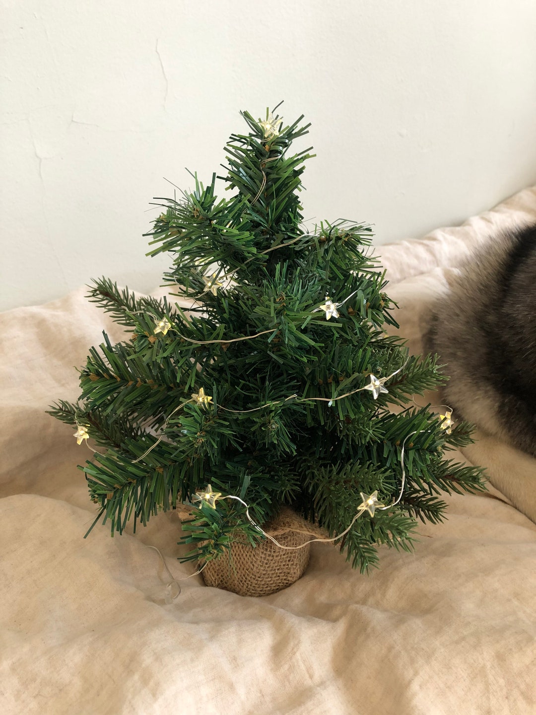 Decorate Your Desk With a 20pre-lit Mini Christmas Tree - Etsy