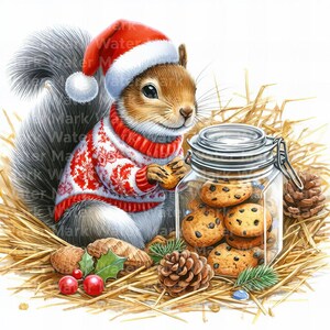 Christmas Squirrel Clipart, 12 Jpg, Digital Download, Watercolor ...