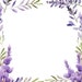 Watercolor Lavender Frame Clipart: Floral Border (digital Download) - Etsy